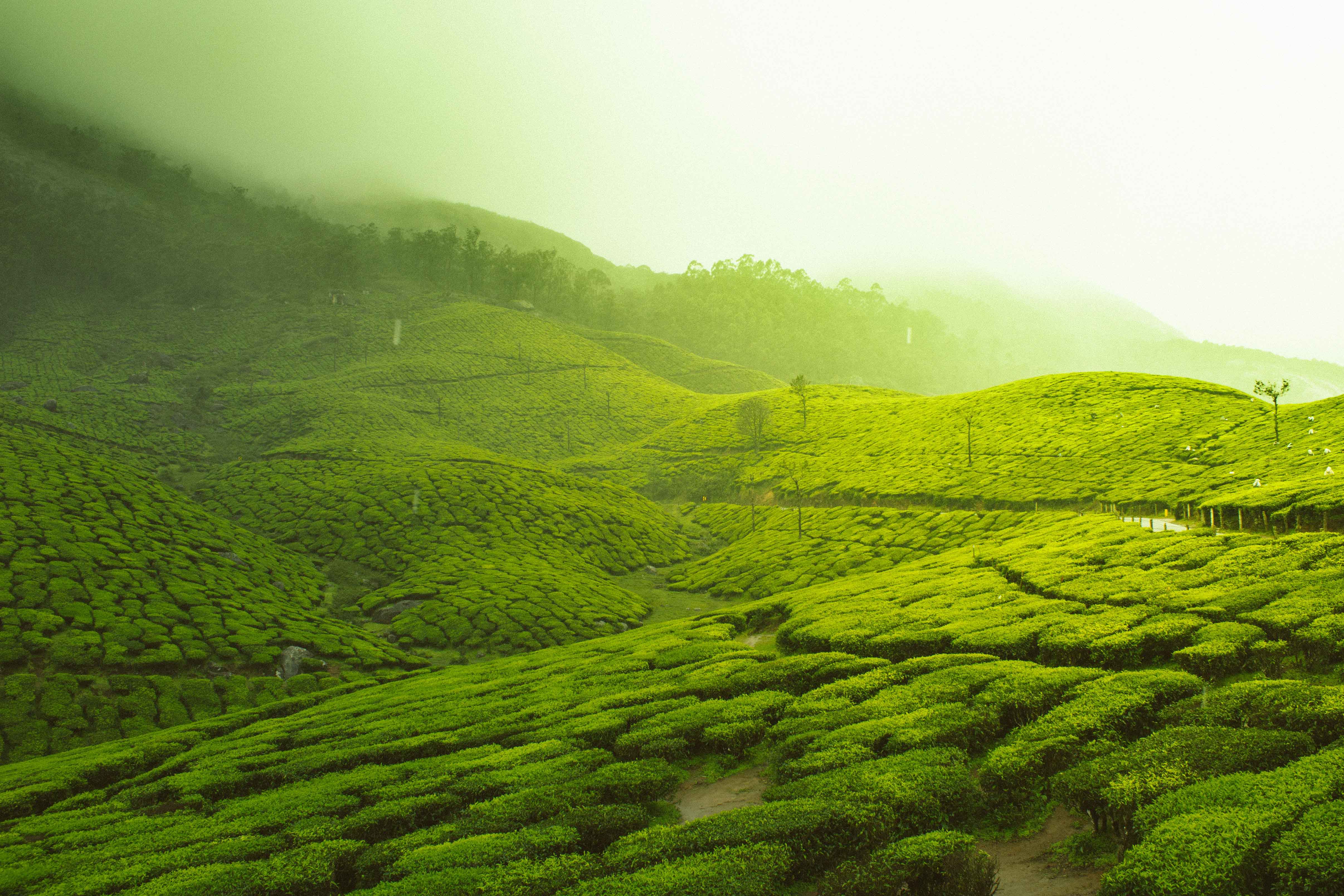 A Guide to Indian Landscape Photography | USA Photojaanic